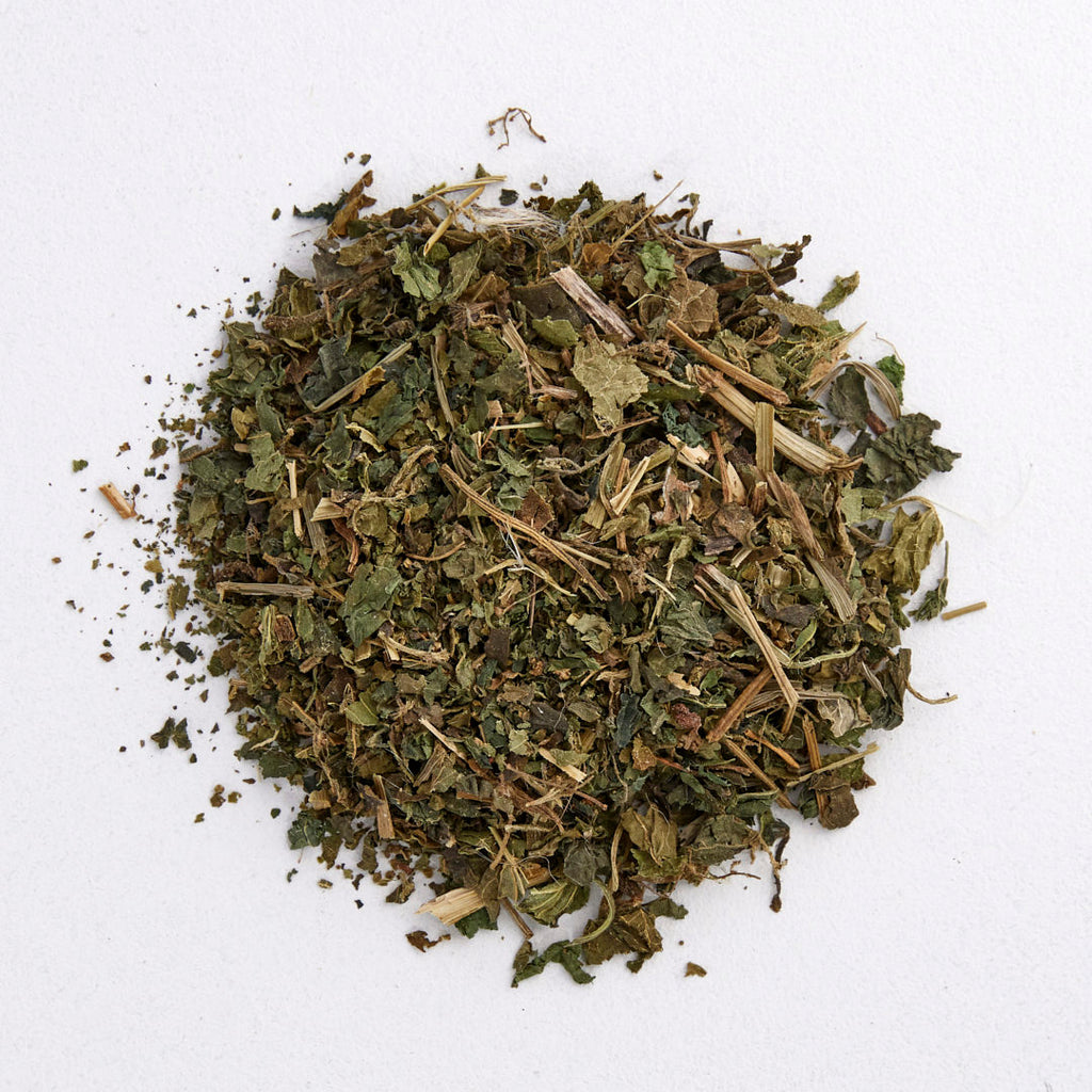 NETTLE : Urtica dioica – Forage and Bloom